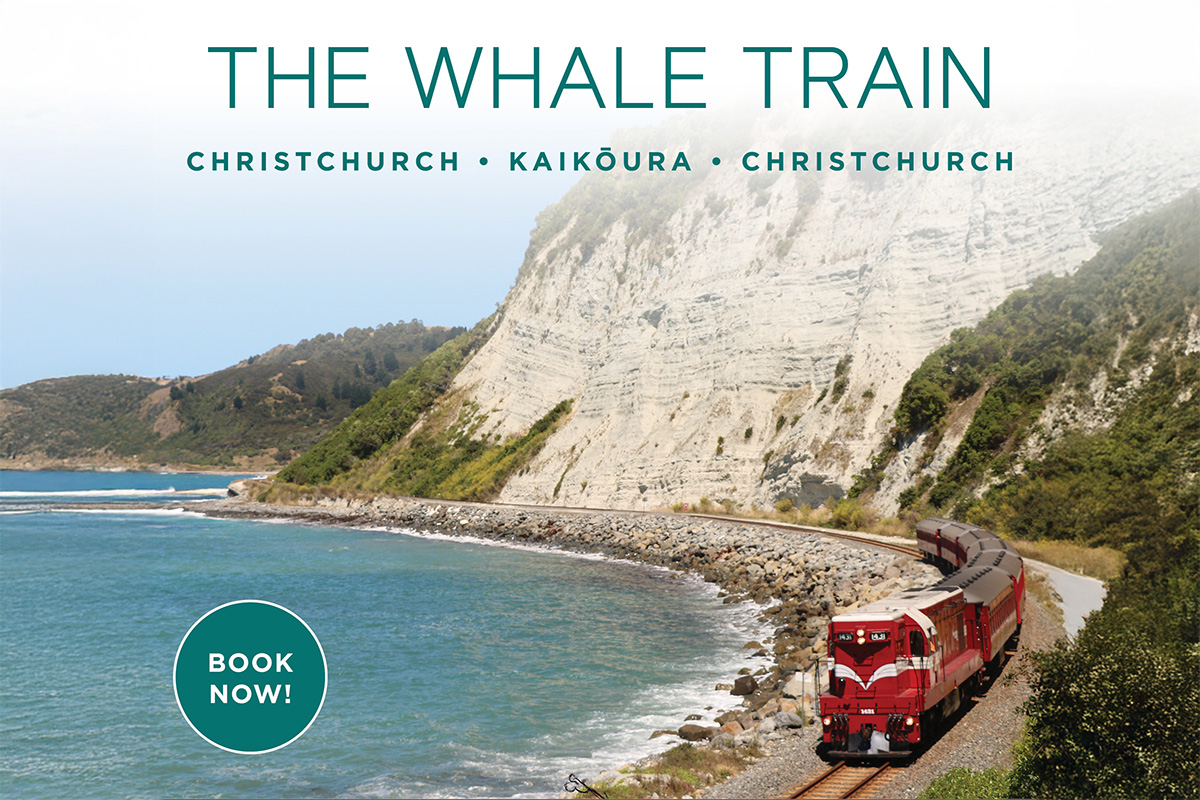 Catch the Whale Train to Kaikoura - World Driving Championship 2025