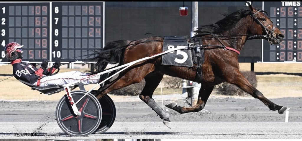 Brett Beckwith - the WDC's young gun - World Driving Championship 2025